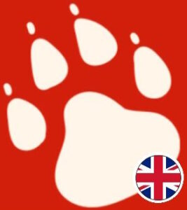 Dog Transport UK - We Ensure Your Dog is Delivered Safely